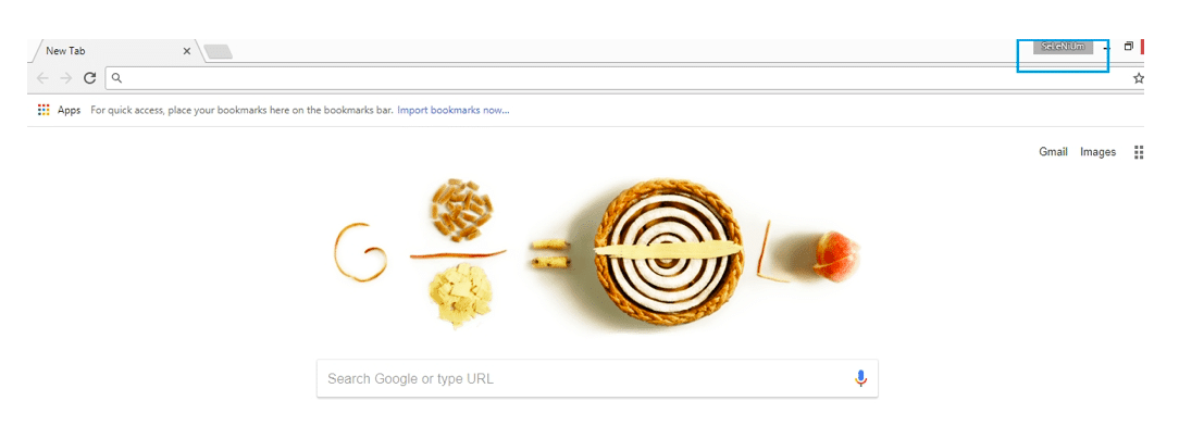 How to Open Chrome profile through Python – testup.io